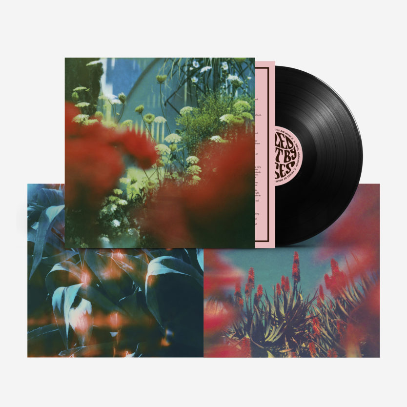 The Haze 12″ Vinyl - Pulled Apart By Horses